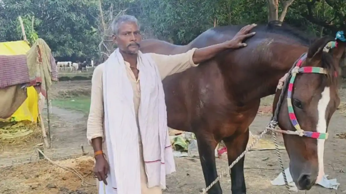 Sonepur Mela: 11 लाख का साधु बना घोड़ा बाजार का स्टार, 40 KM की रफ्तार ...