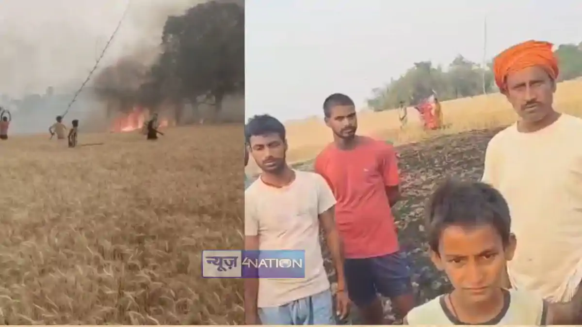 Ara fire: सैकड़ों बीघा गेहूं की फसल जलकर राख, दमकल की देरी से बढ़ा नुकसान