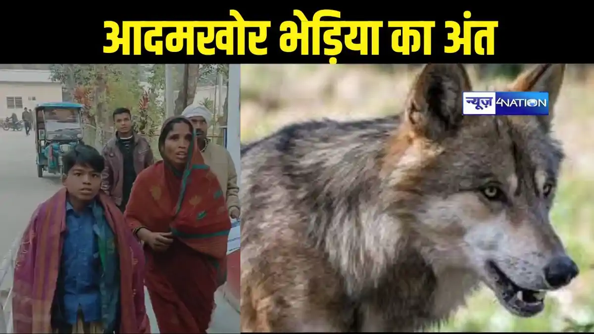 Terror of Man Eating Wolf: कटिहार में आदमखोर भेड़िये का अंत, बच्चे पर ...